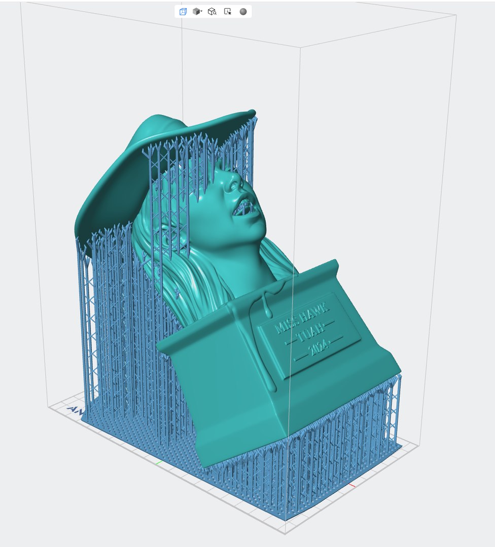 HAWK TUAH 3d Print Head 3D Model - TurboSquid 2309335