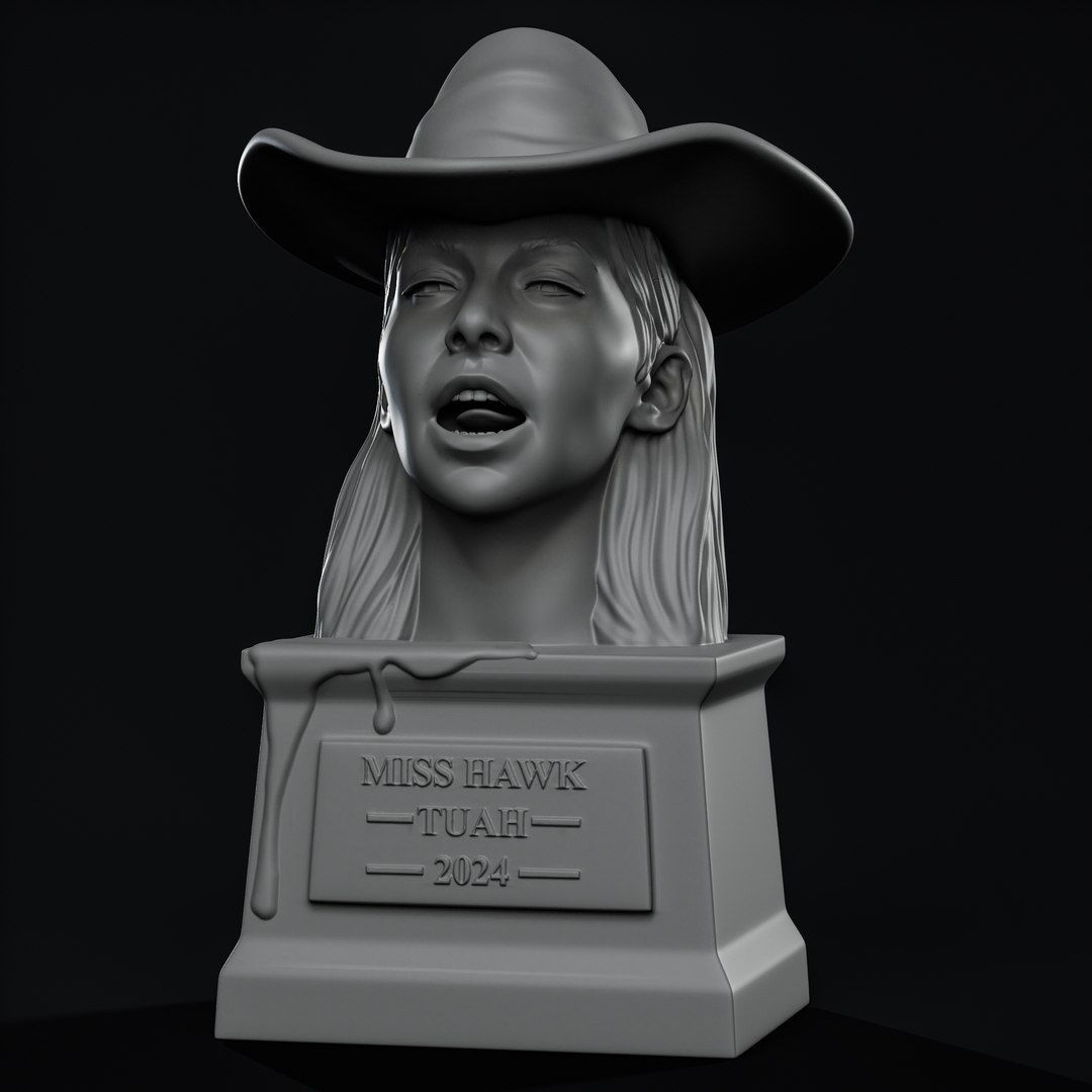 HAWK TUAH 3d Print Head 3D Model - TurboSquid 2309335