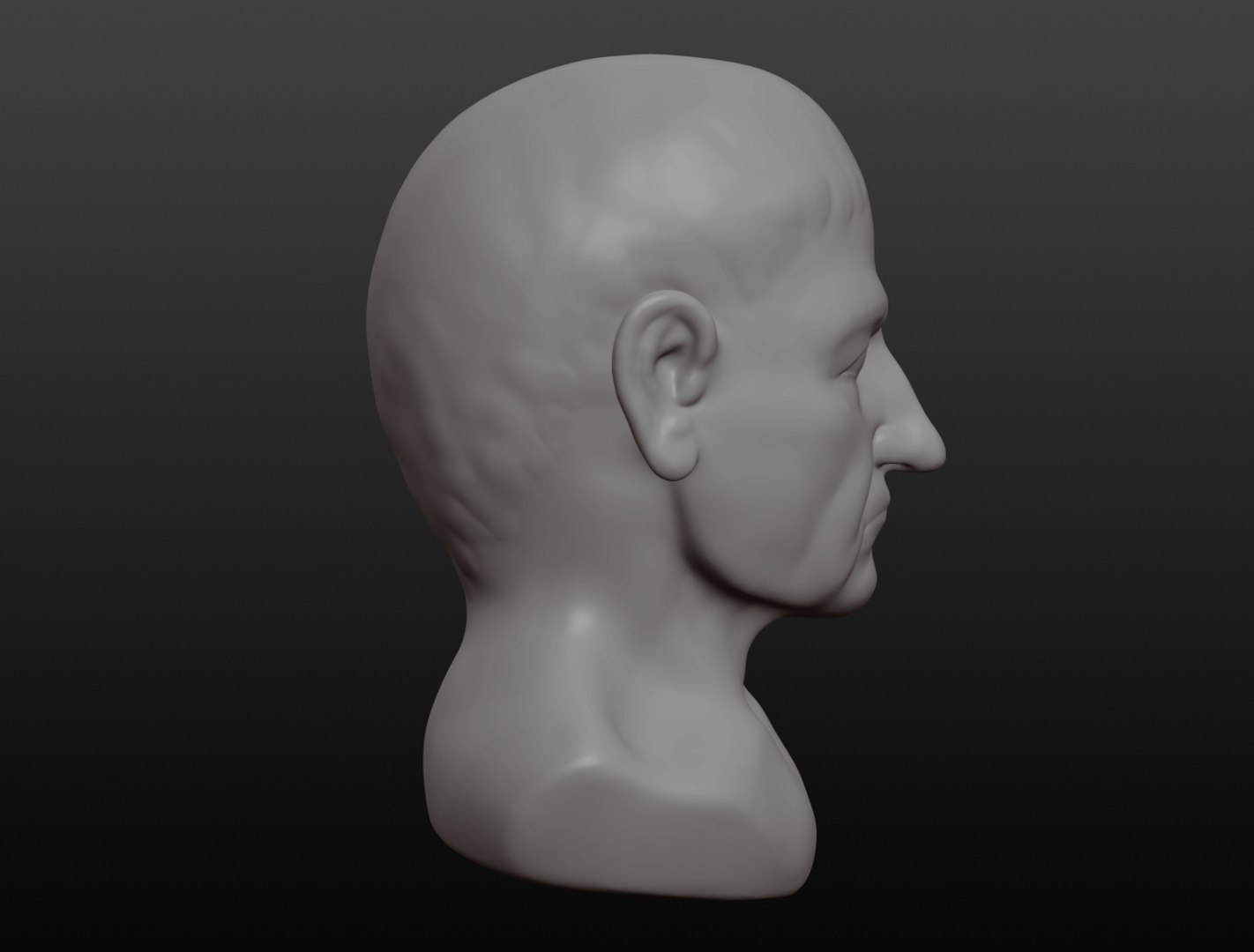 3D Aristotle Bust Model - TurboSquid 1421422