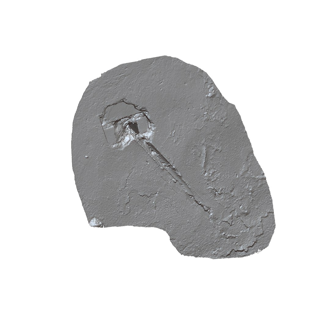 3D Realistic Scan Wall Raw - TurboSquid 1593978