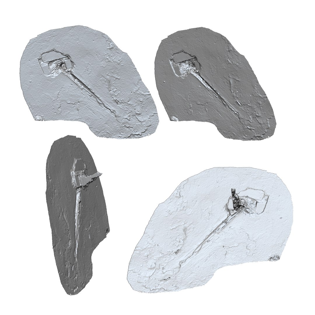 3D Realistic Scan Wall Raw - TurboSquid 1593978