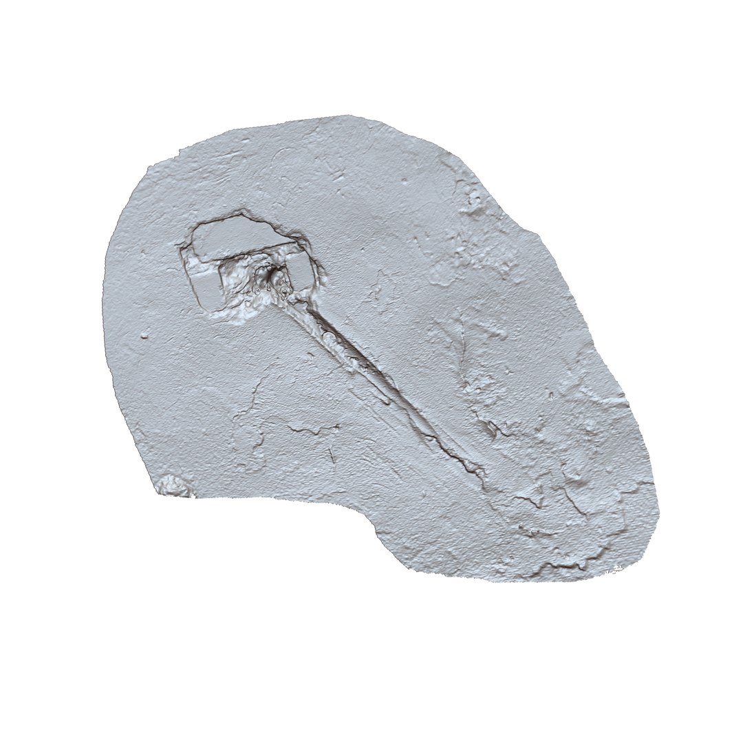 3D Realistic Scan Wall Raw - TurboSquid 1593978