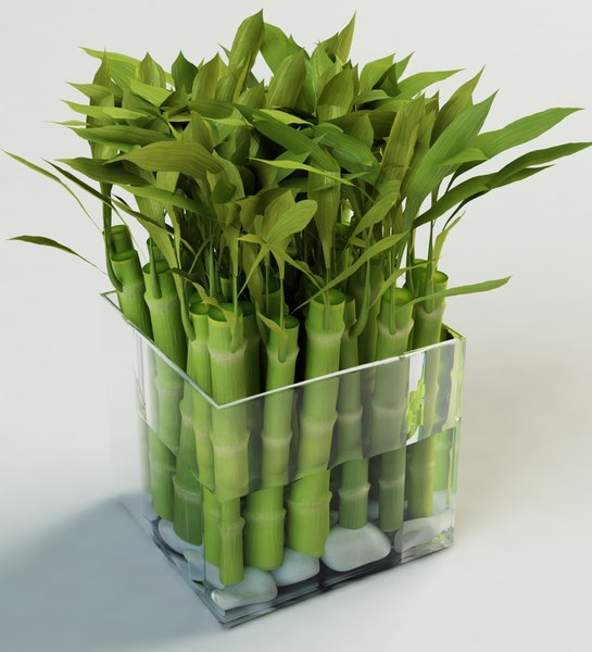 interior bamboo 3d 3ds