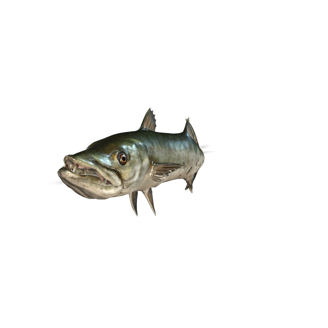 FISH BARRACUDA MONSTER HUNTER 3D - TurboSquid 2210928