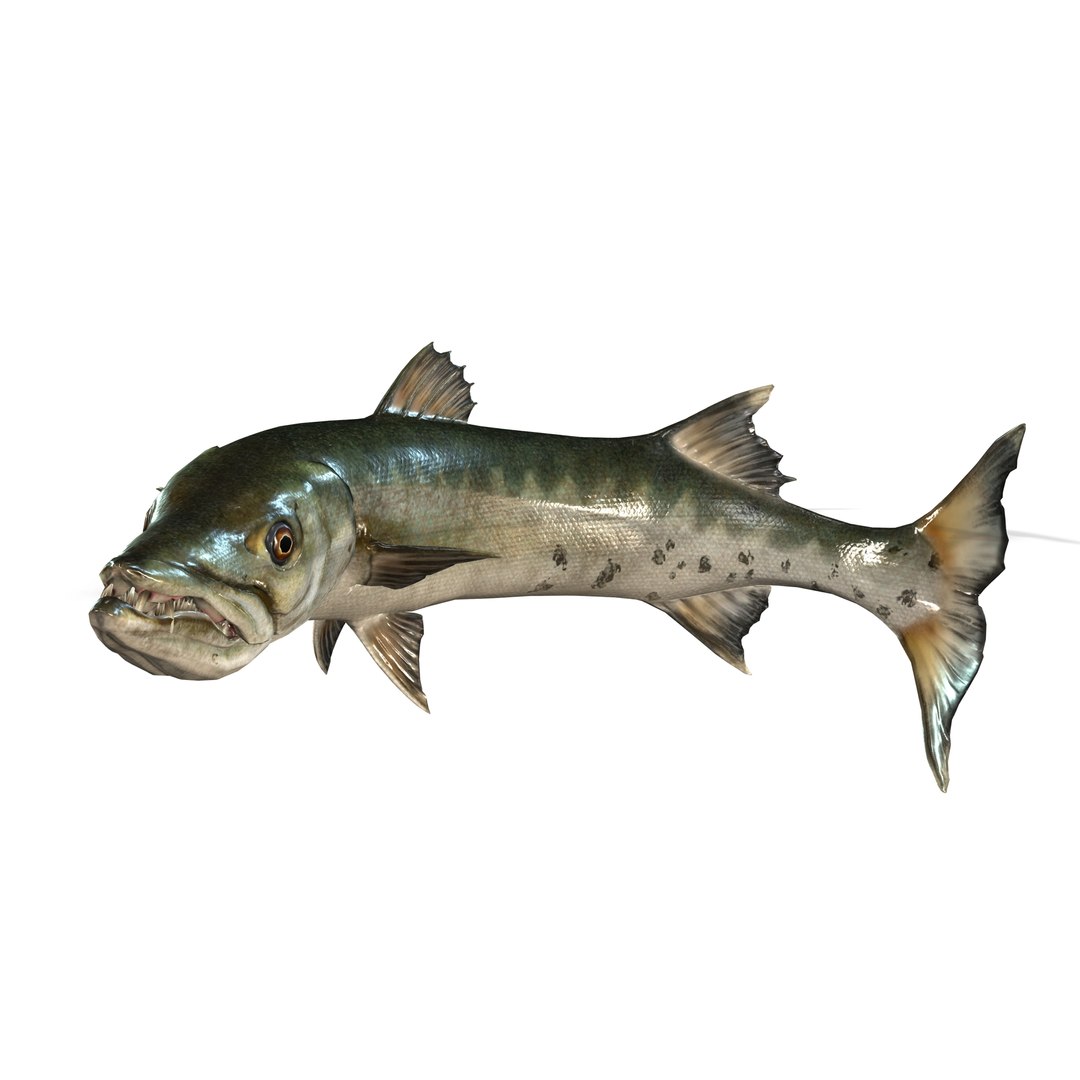 FISH BARRACUDA MONSTER HUNTER 3D - TurboSquid 2210928