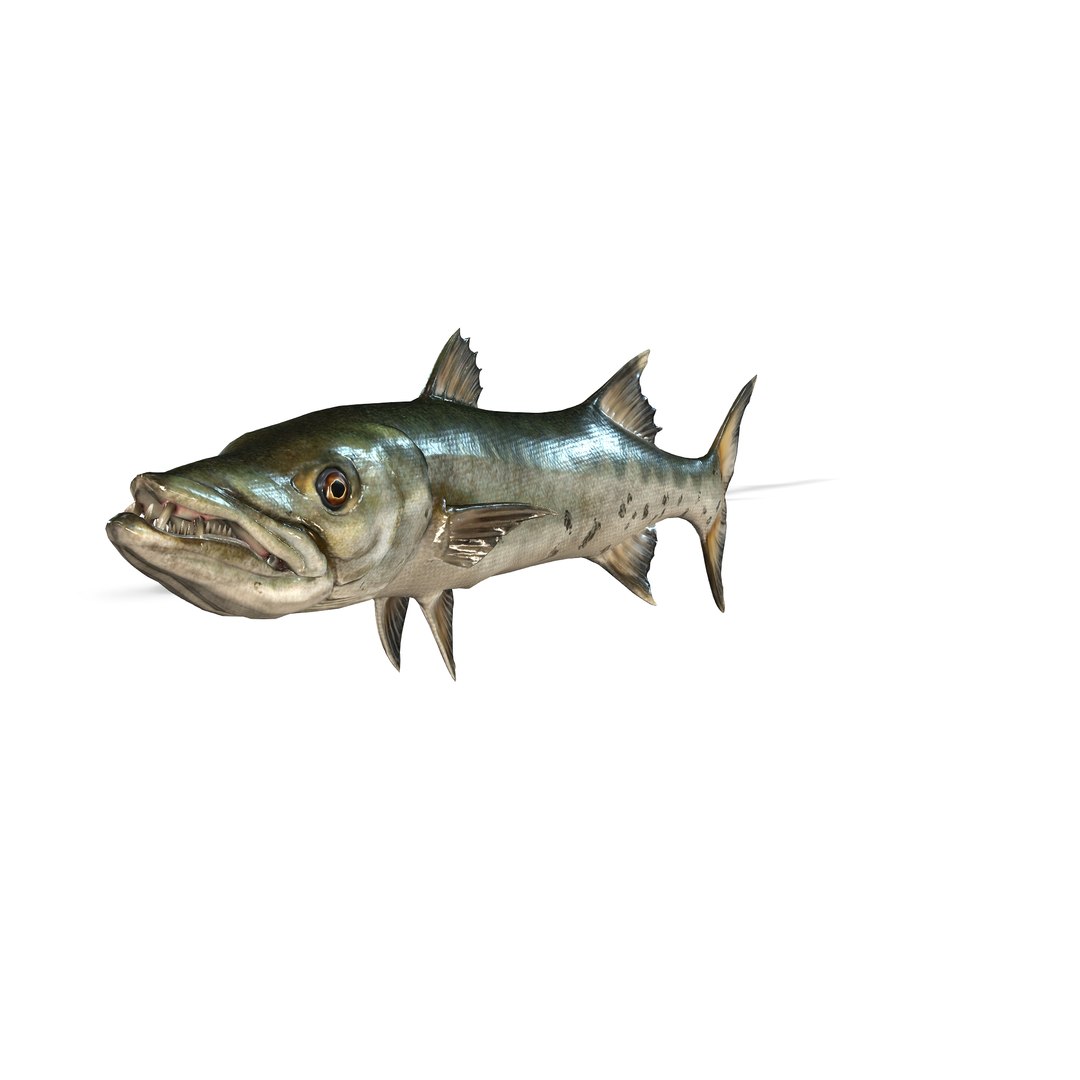FISH BARRACUDA MONSTER HUNTER 3D - TurboSquid 2210928