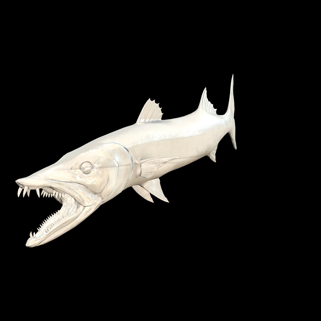 FISH BARRACUDA MONSTER HUNTER 3D - TurboSquid 2210928