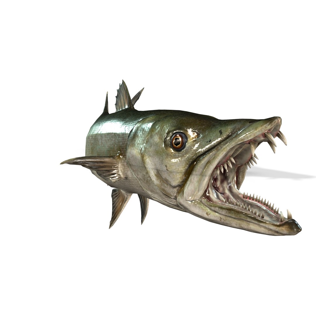 FISH BARRACUDA MONSTER HUNTER 3D - TurboSquid 2210928