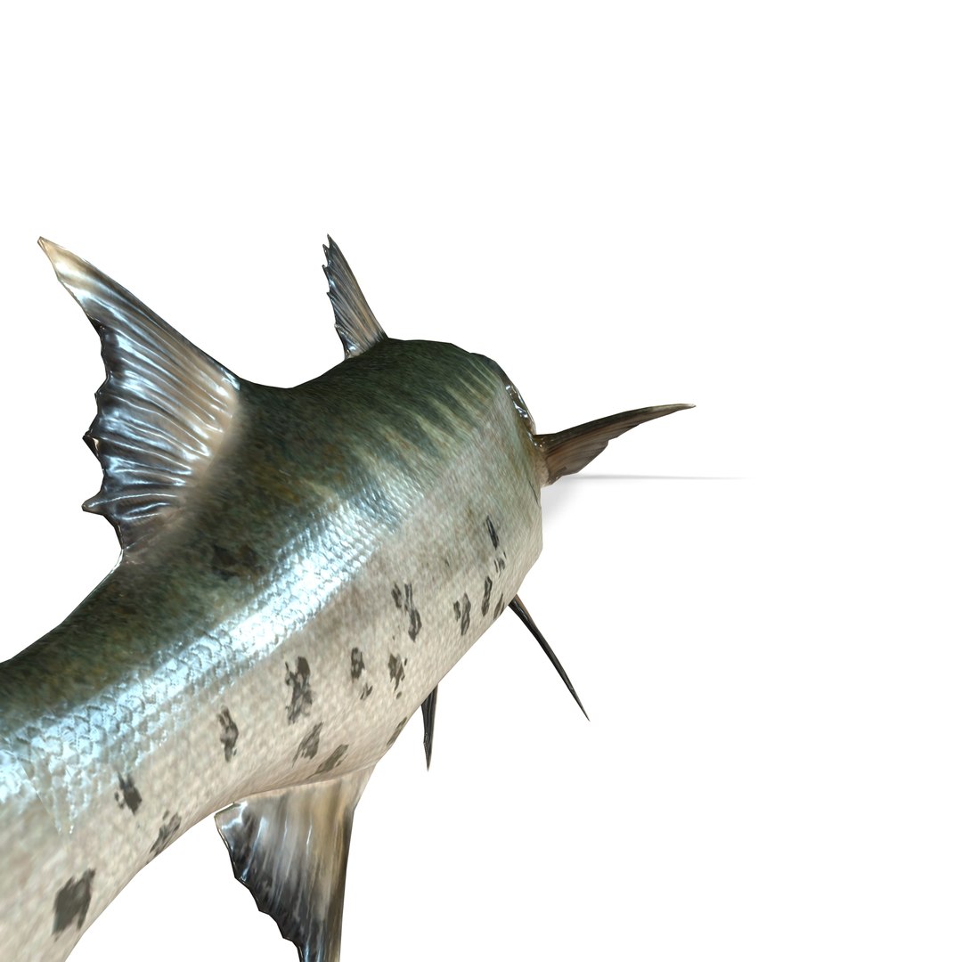 FISH BARRACUDA MONSTER HUNTER 3D - TurboSquid 2210928