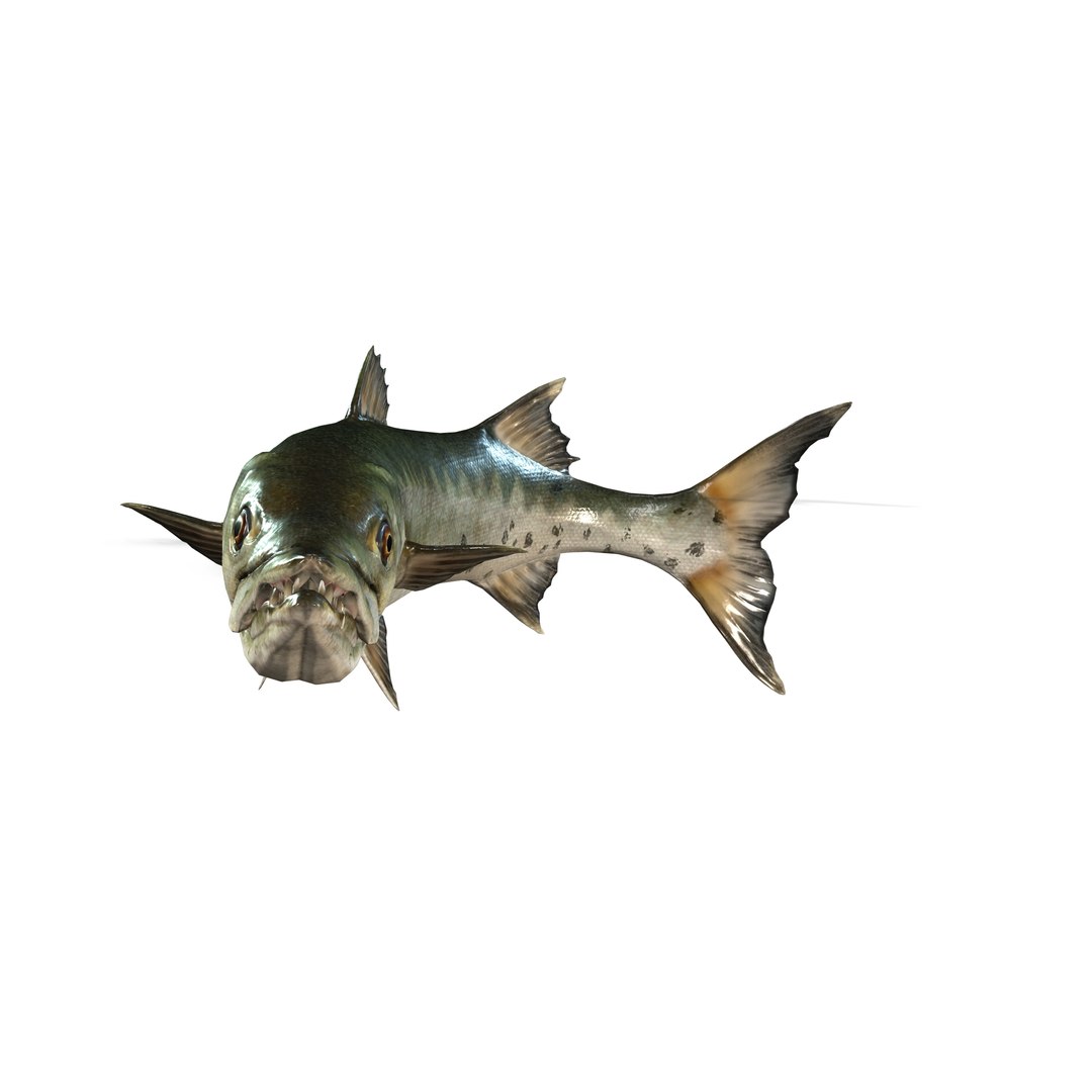 FISH BARRACUDA MONSTER HUNTER 3D - TurboSquid 2210928