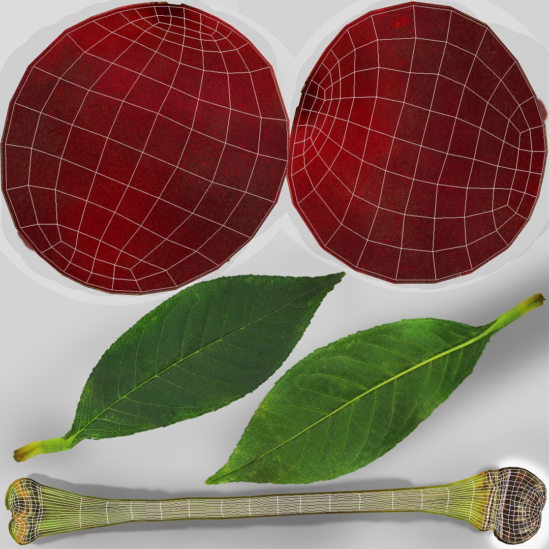 Cherry Realistic Model - TurboSquid 1202625