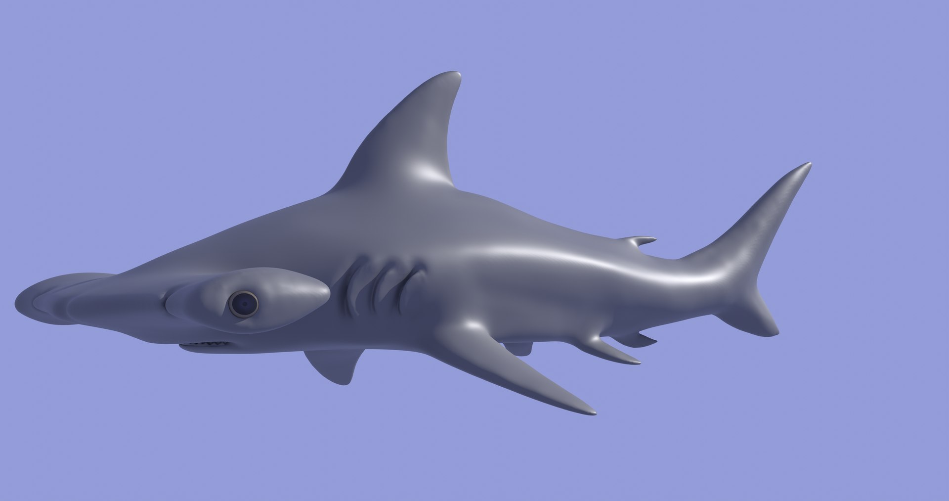 3D Hammerhead Shark - TurboSquid 2054692