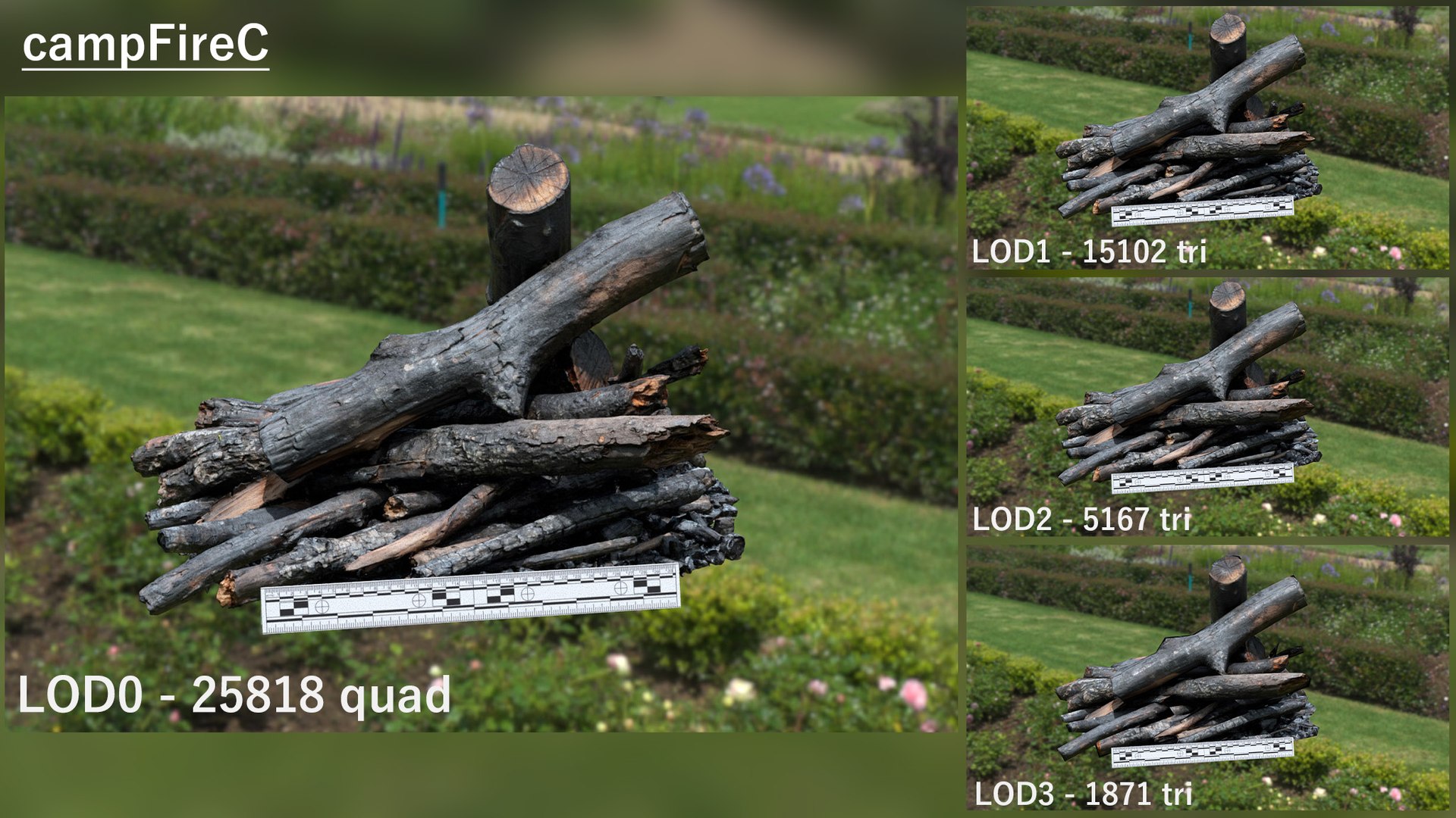 3D Campfire Scan - TurboSquid 2229453