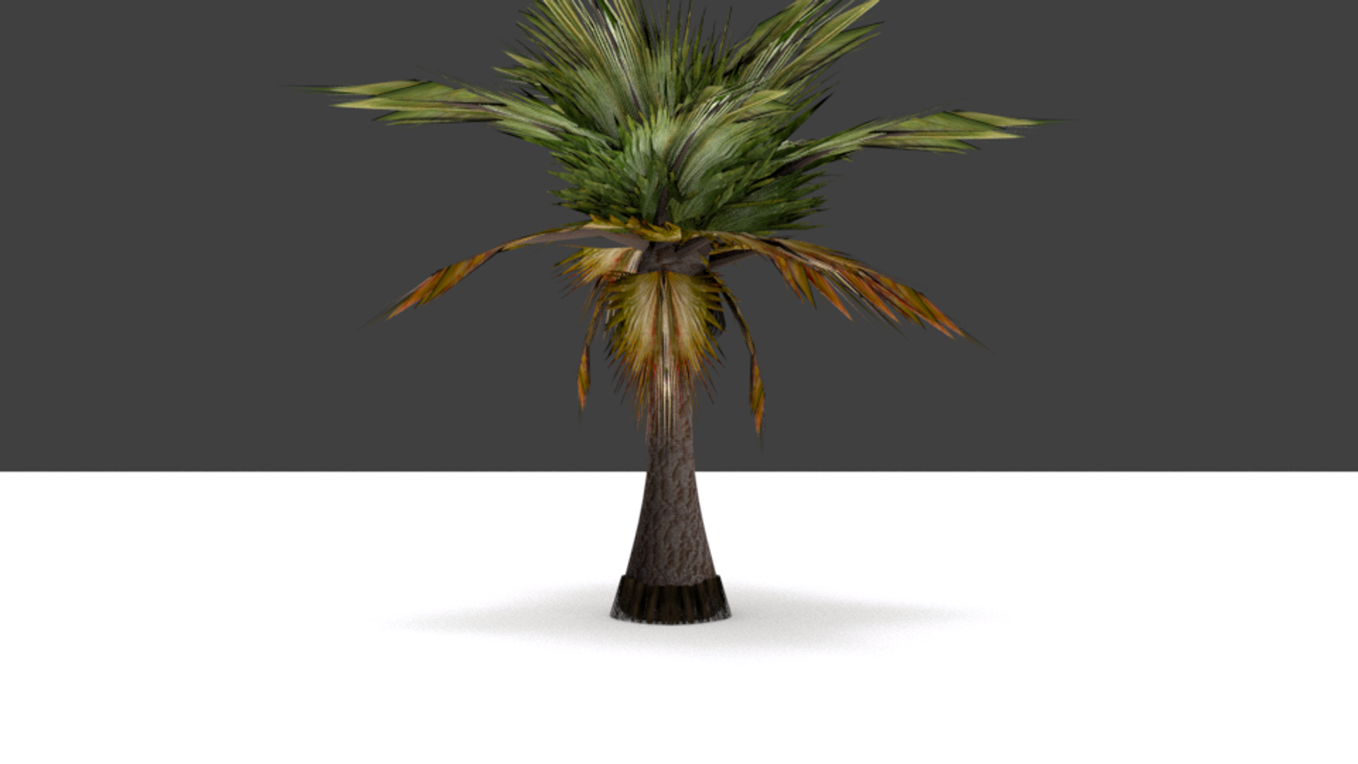 Free palm 3D - TurboSquid 1339351