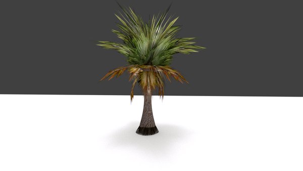 Free Palm Tree 3D Models for Download | TurboSquid