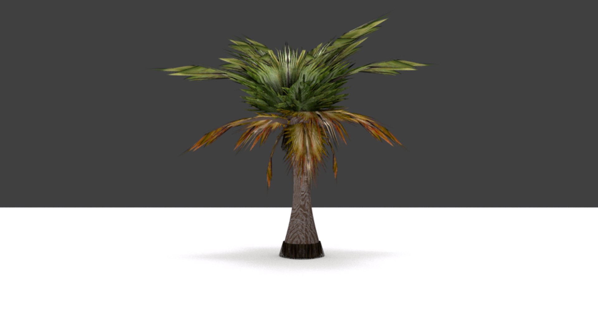 Free Palm 3D - TurboSquid 1339351