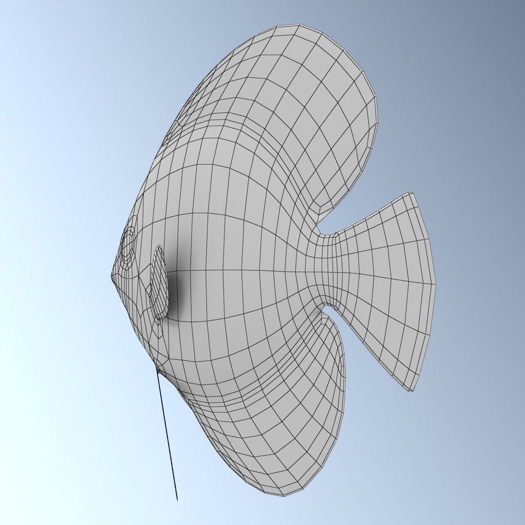3d discus fish model