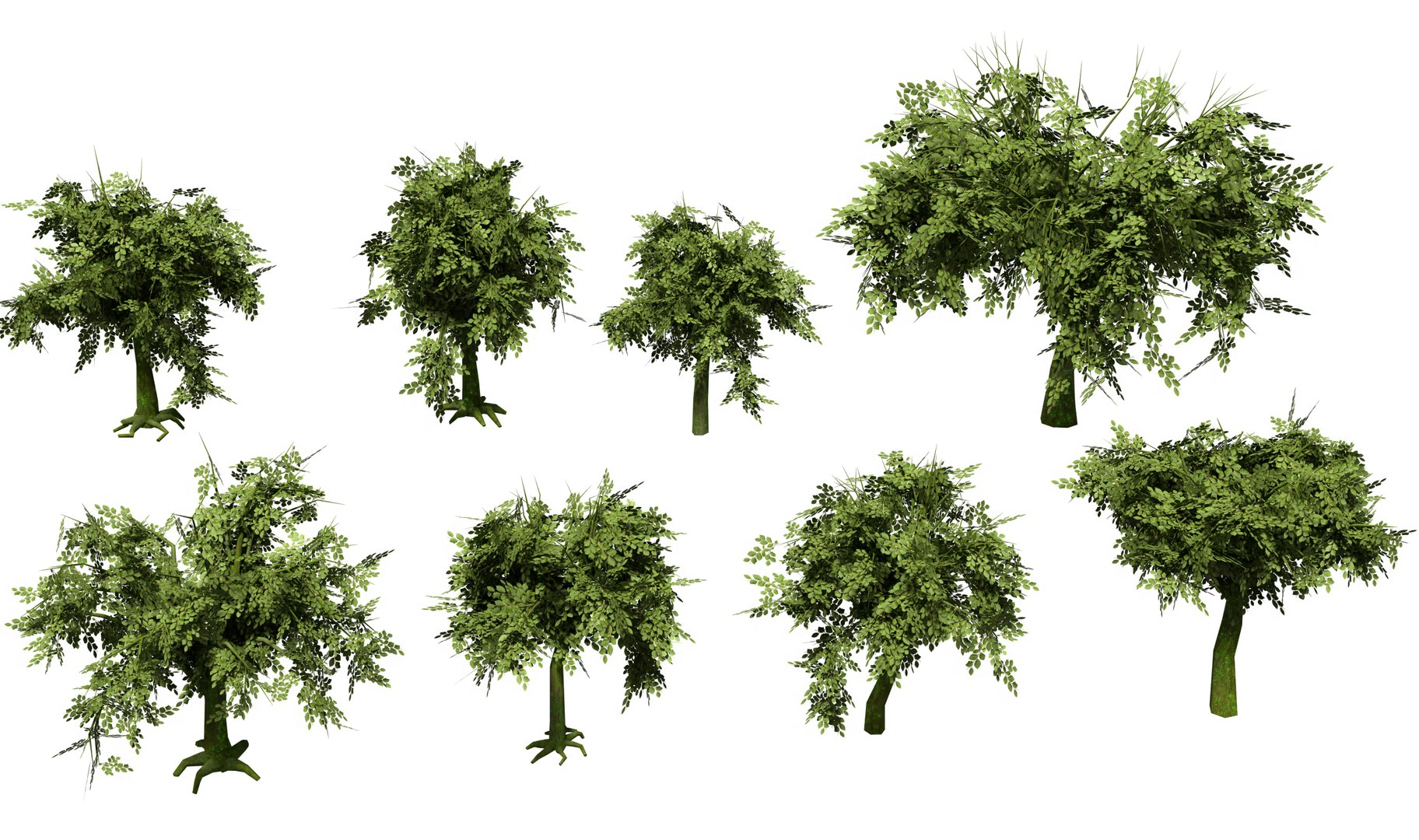 3D nature tree - TurboSquid 1551853