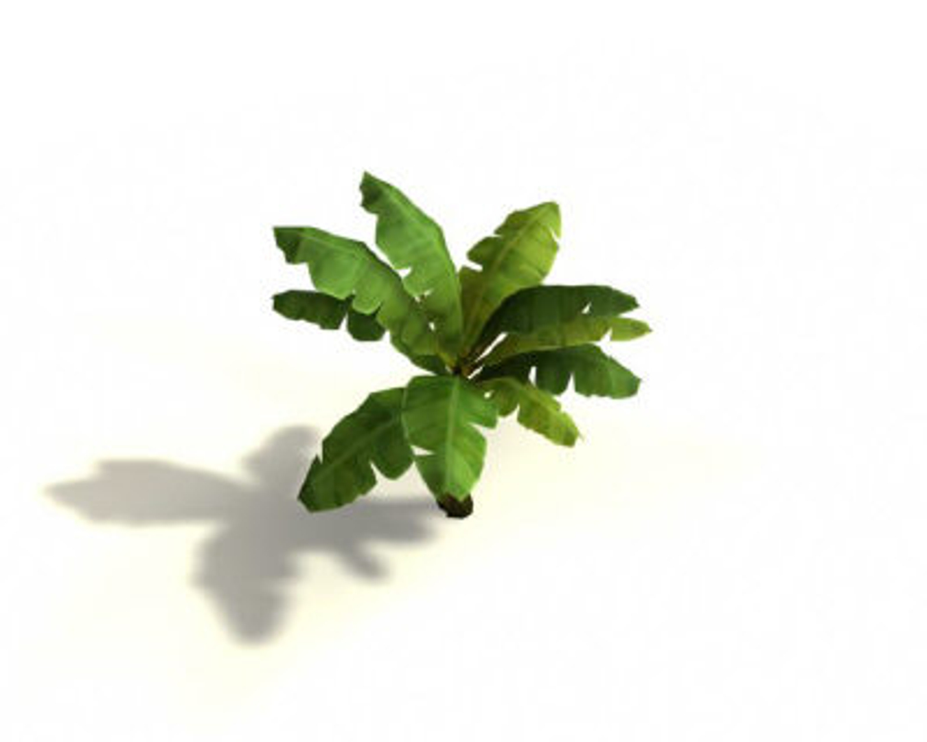 3d banana tree model