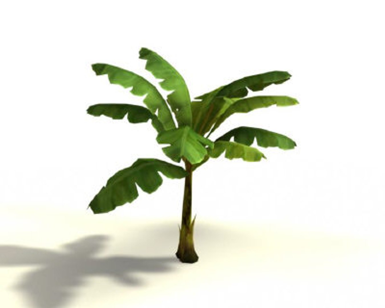 3d Banana Tree Model