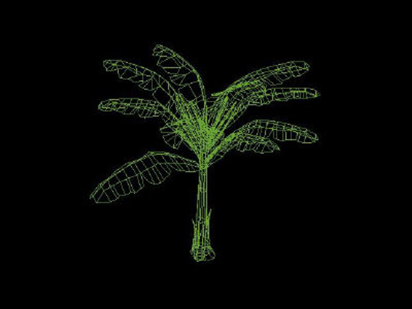 3d Banana Tree Model