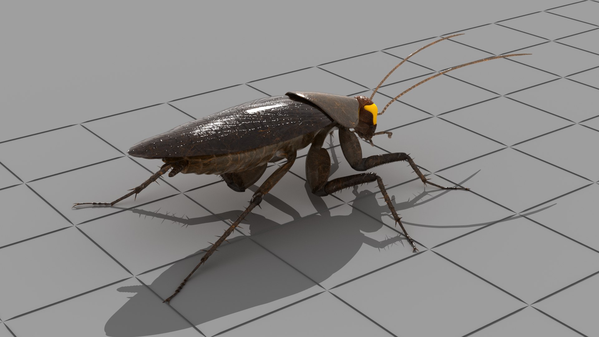 Cockroach Radioactive Animation 3D Model - TurboSquid 1296813