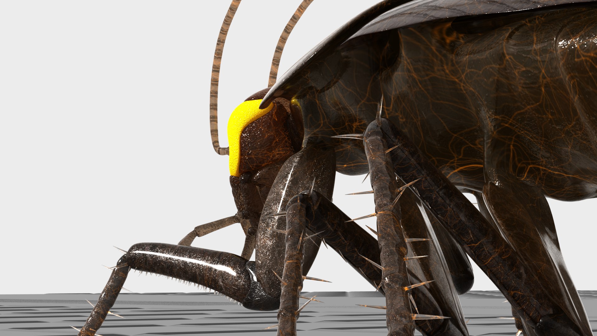 Cockroach Radioactive Animation 3D Model - TurboSquid 1296813
