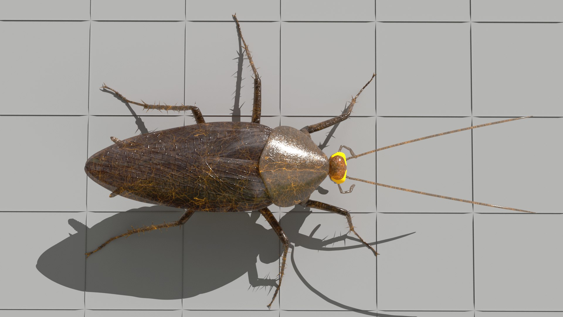 Cockroach Radioactive Animation 3D Model - TurboSquid 1296813