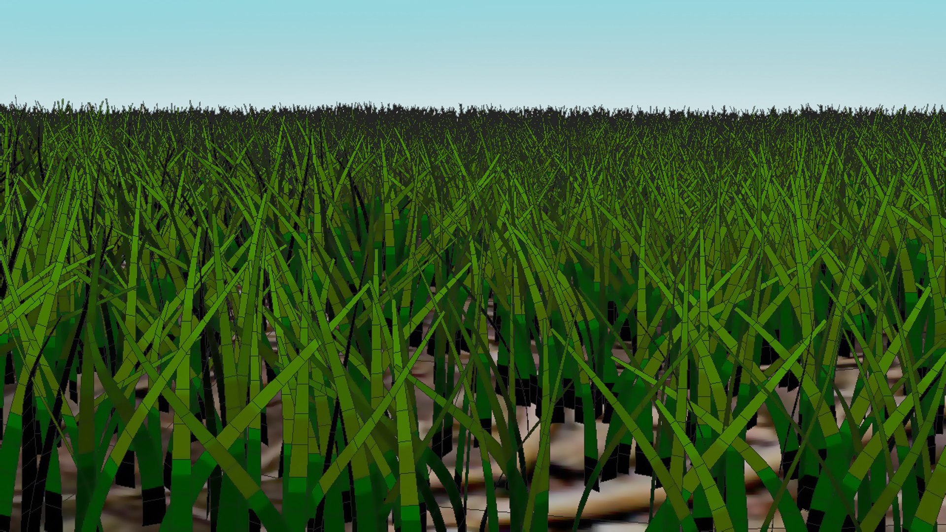 3D Grass Plants Lawn - TurboSquid 1420534