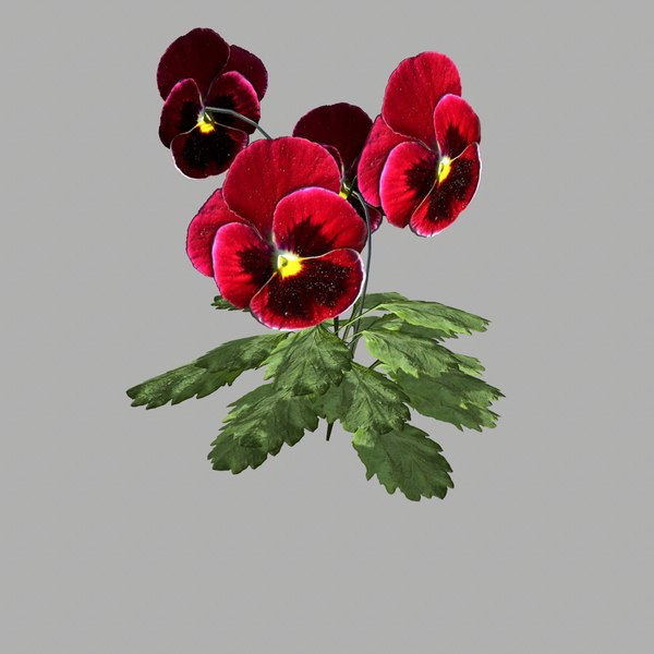 3ds max flower 11