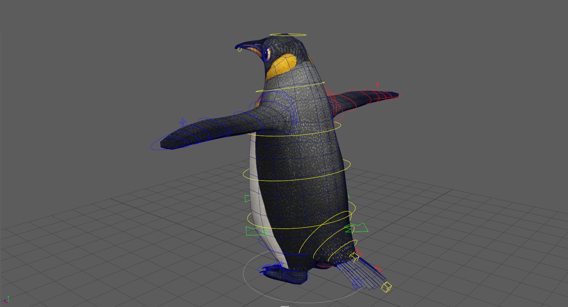 3D penguin bird nature - TurboSquid 1597338
