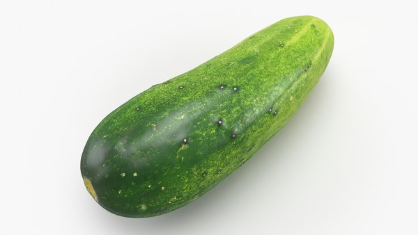 modelo 3d Cucumber - TurboSquid 2059708