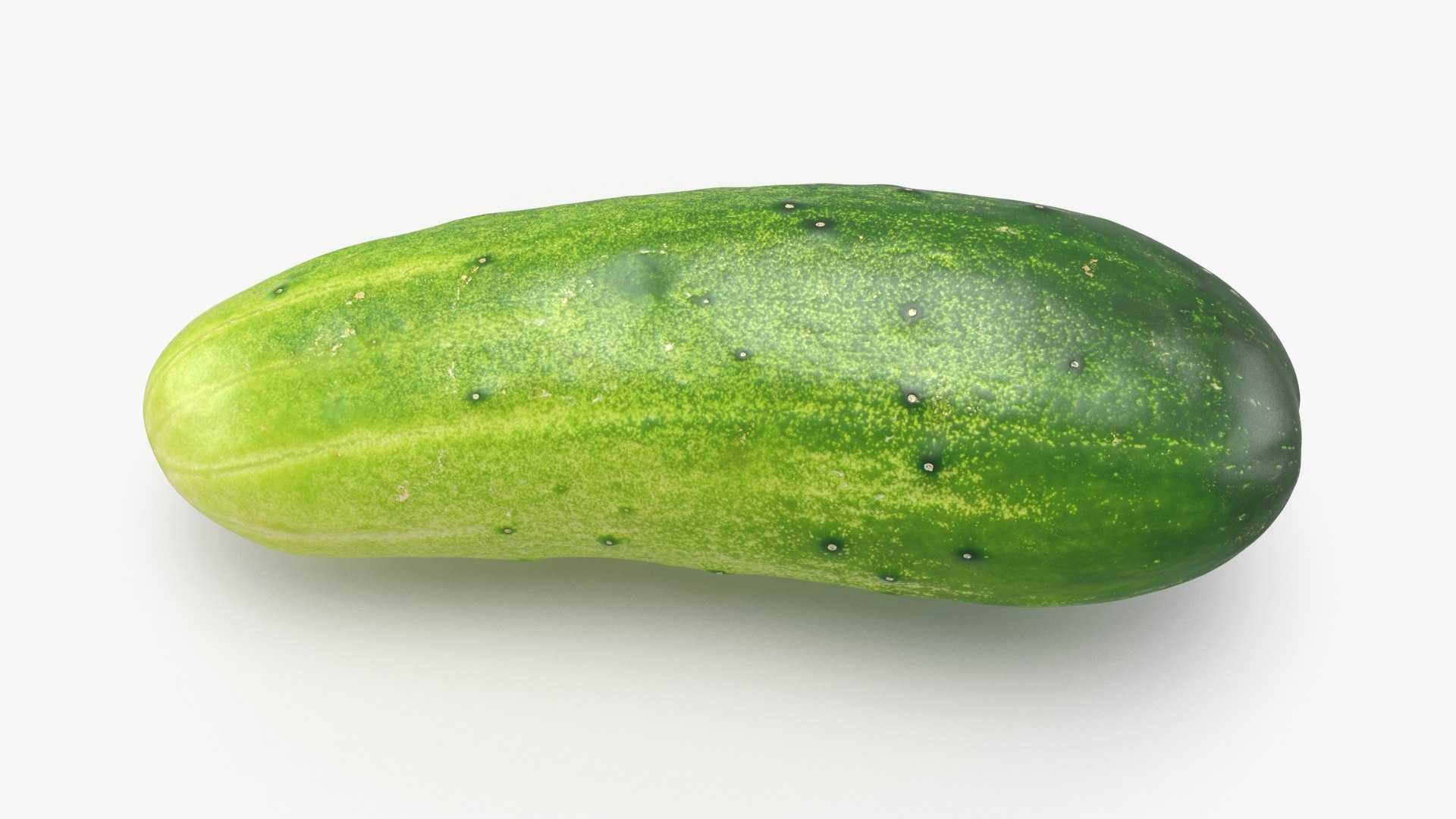 3D Cucumber - TurboSquid 2059708