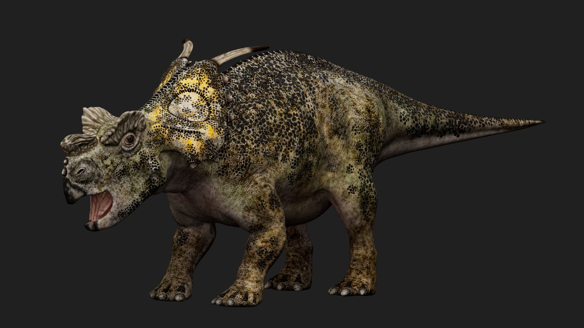 Achelousaurus Model - TurboSquid 2275714