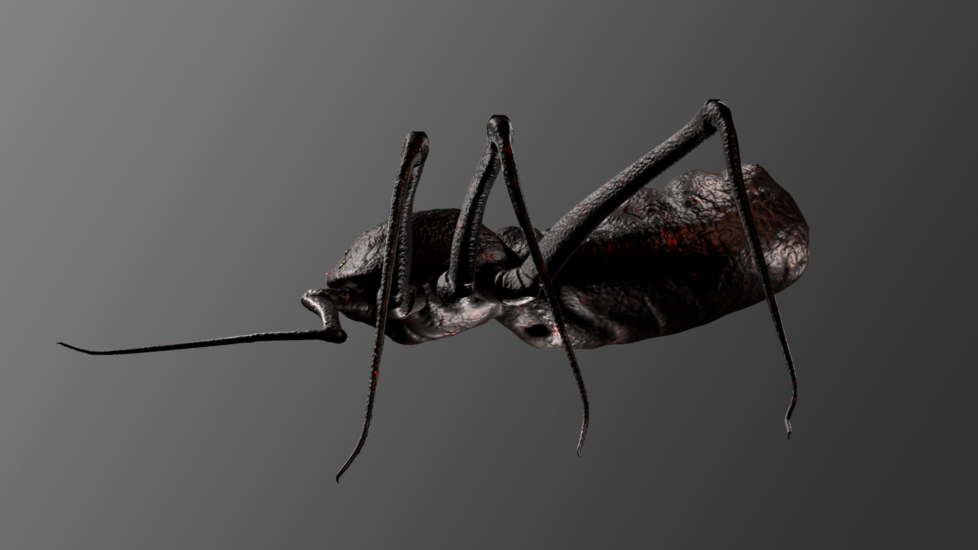3D Spider Insect Model - TurboSquid 1534968