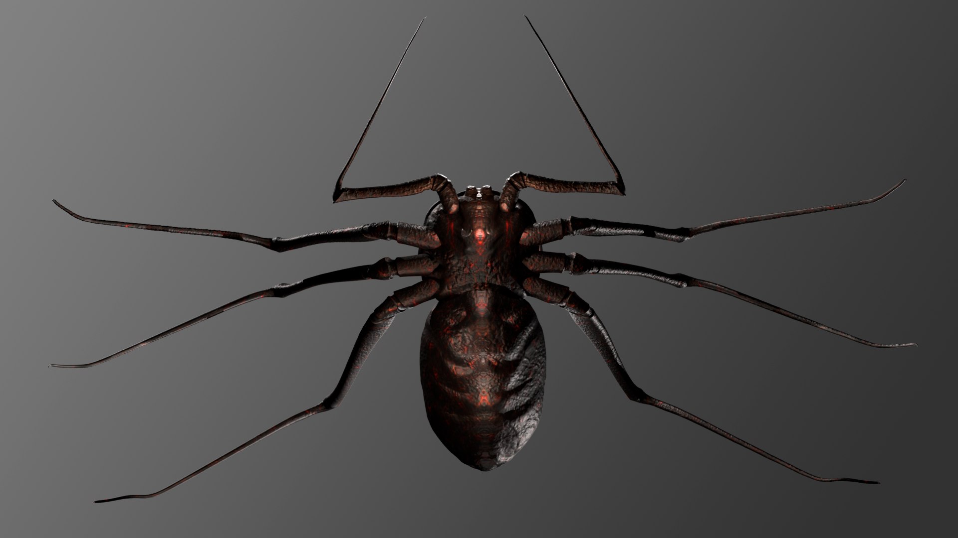 3D Spider Insect Model - TurboSquid 1534968