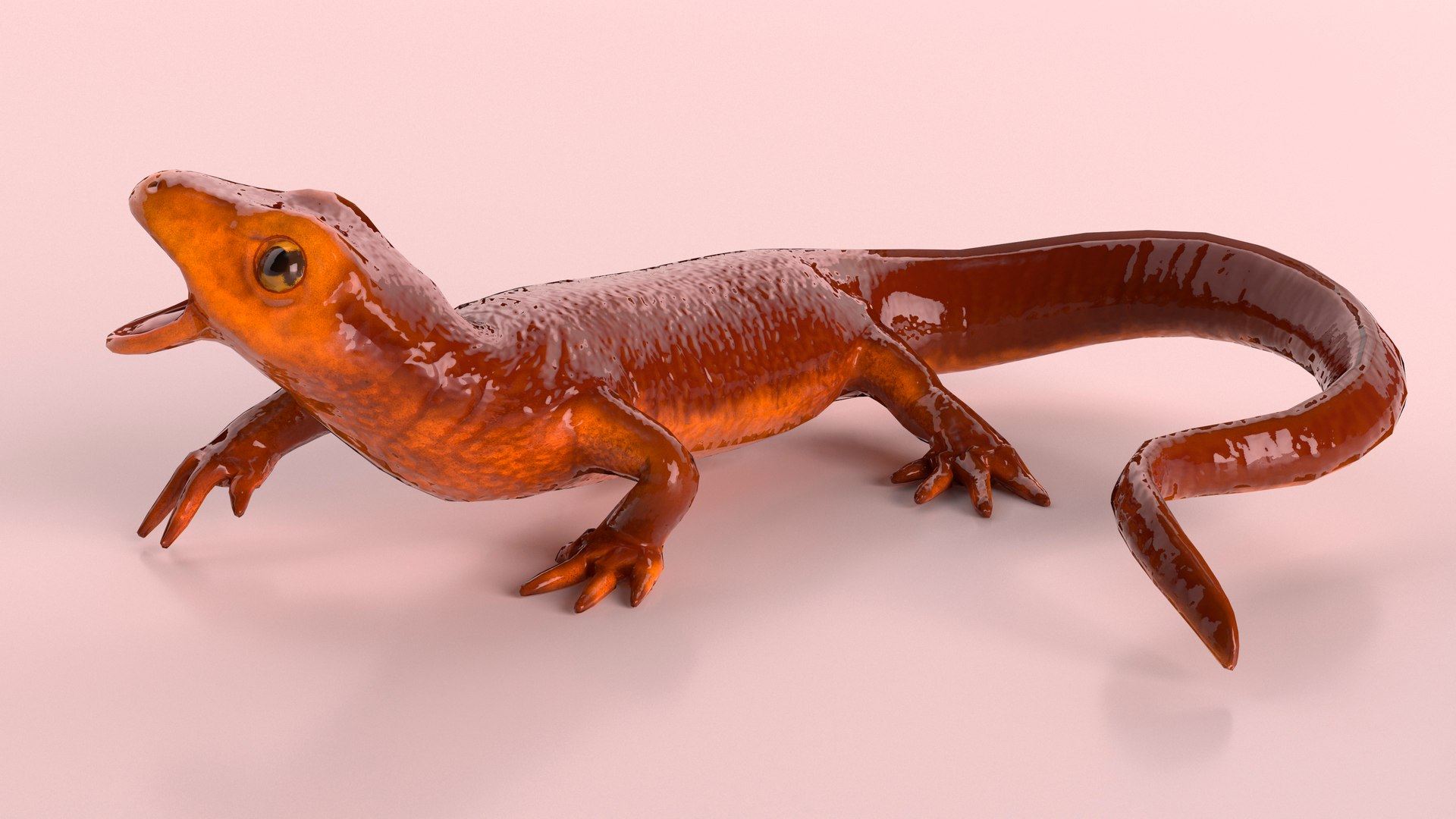 Orange-bellied Newt Rigged For Cinema 4D 3D Model - TurboSquid 2157564