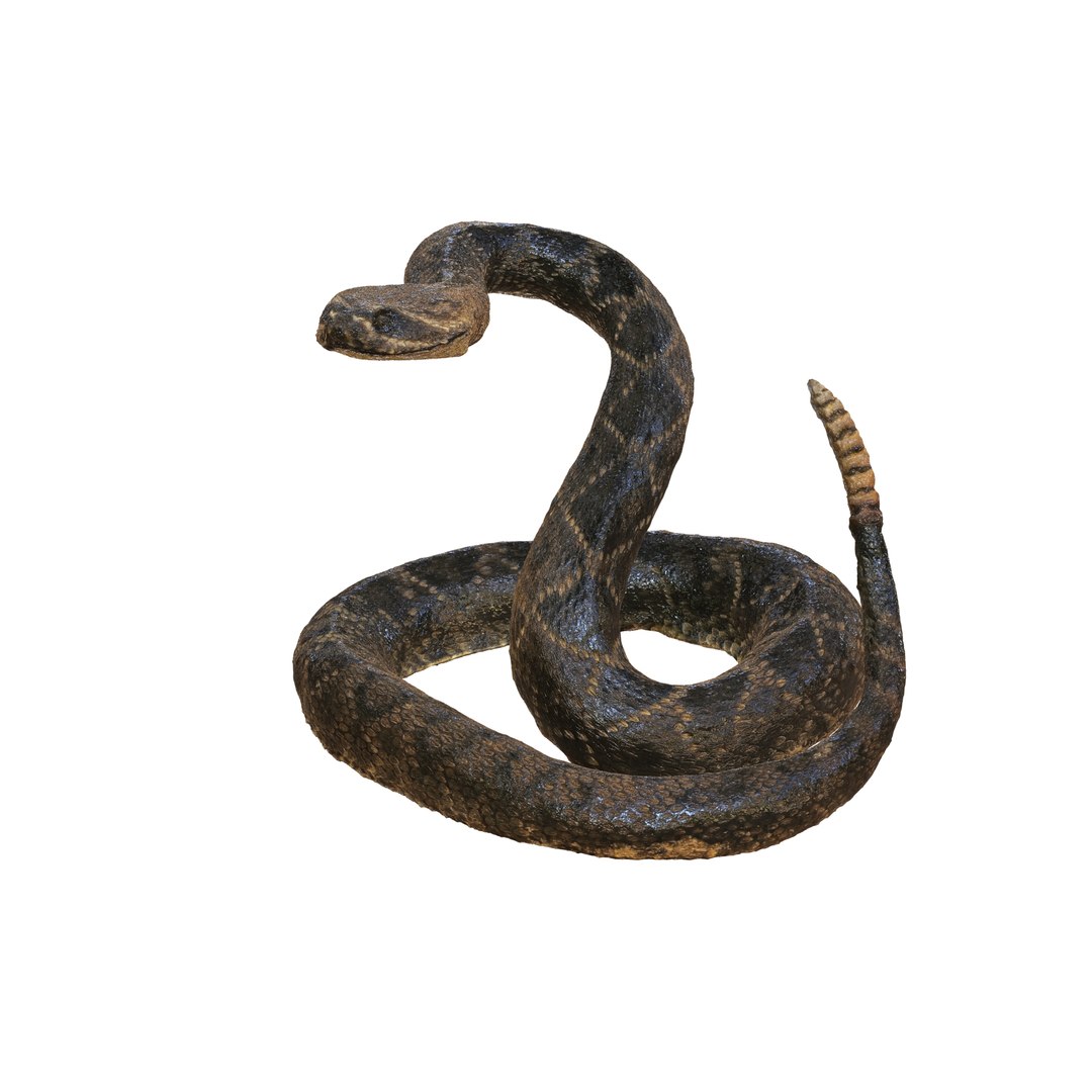 3D Model PYTHON VIPER SNAKE - TurboSquid 2381389