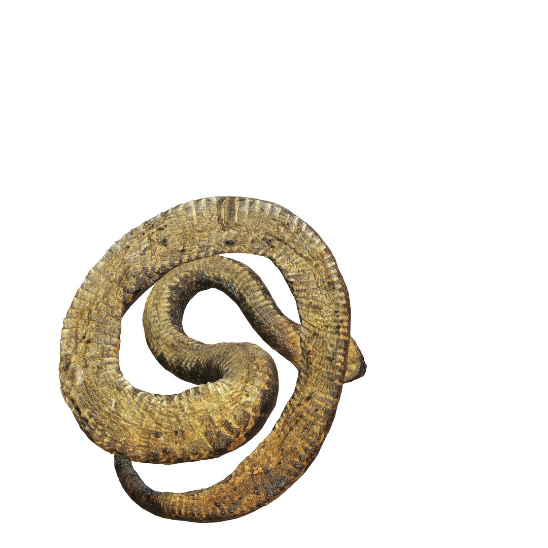 3D Model PYTHON VIPER SNAKE - TurboSquid 2381389