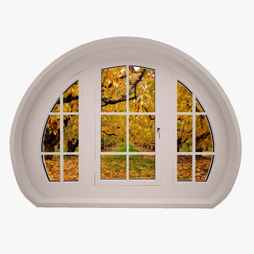 3d Plastic Windows Model