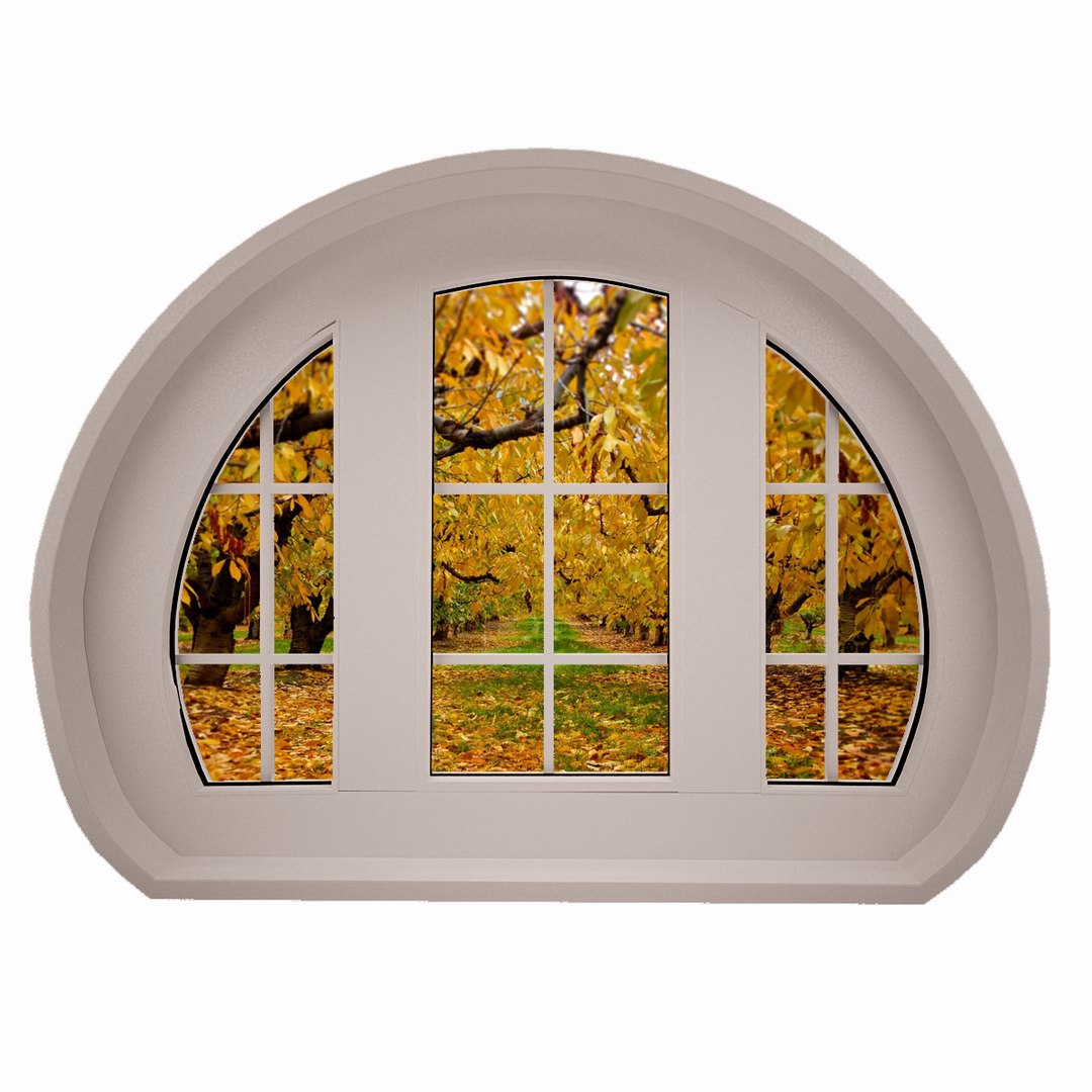 3d Plastic Windows Model