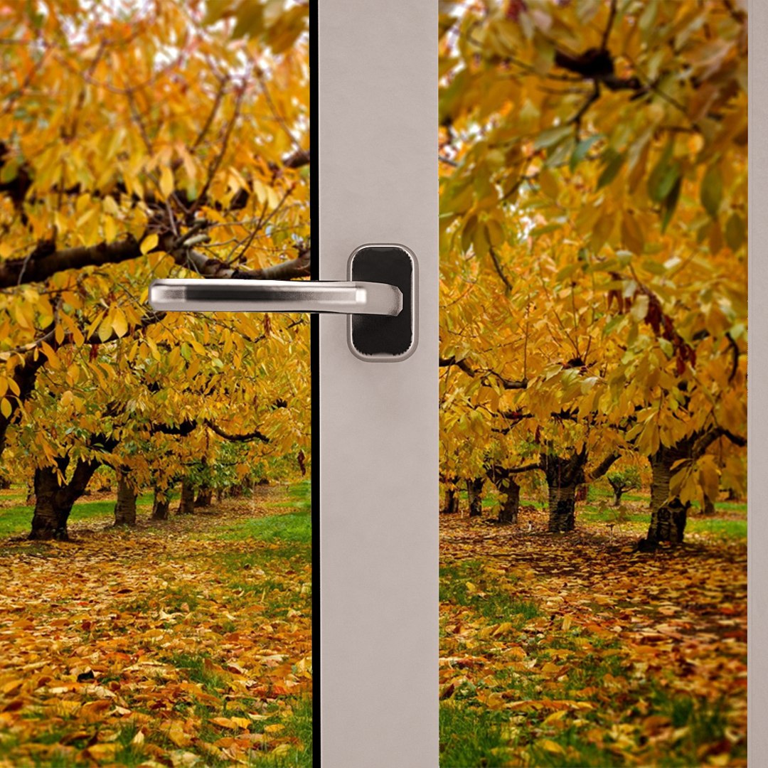 3d Plastic Windows Model