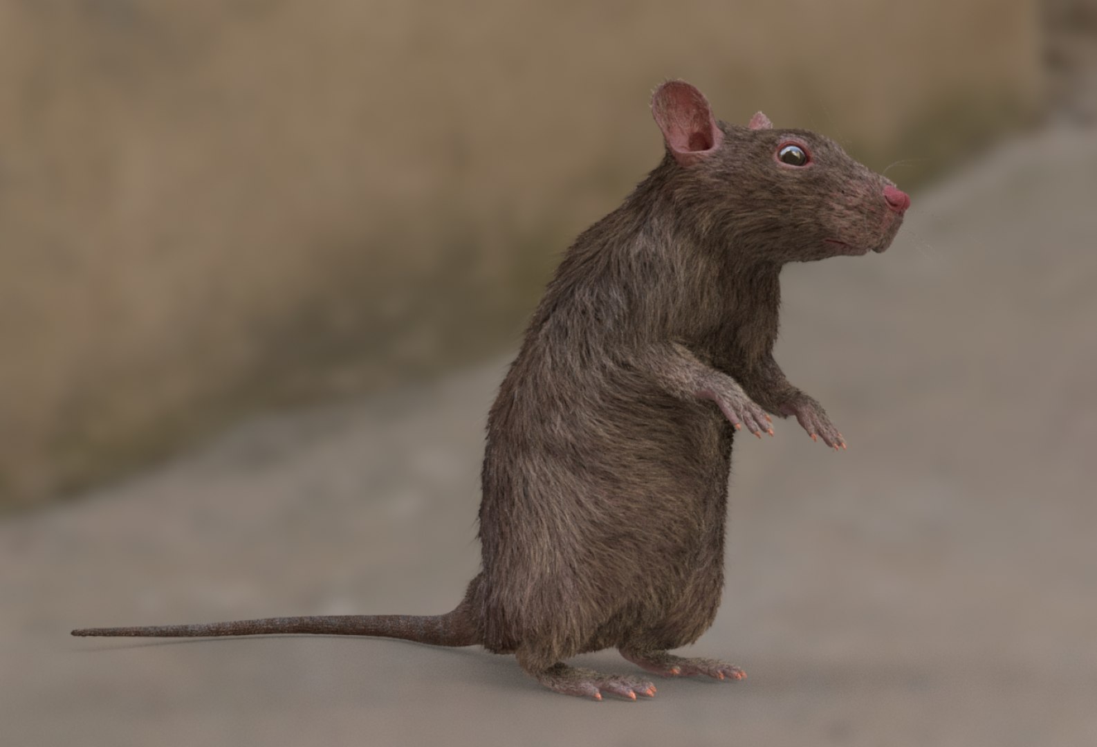 Rat Rig 3D Model - TurboSquid 1368181