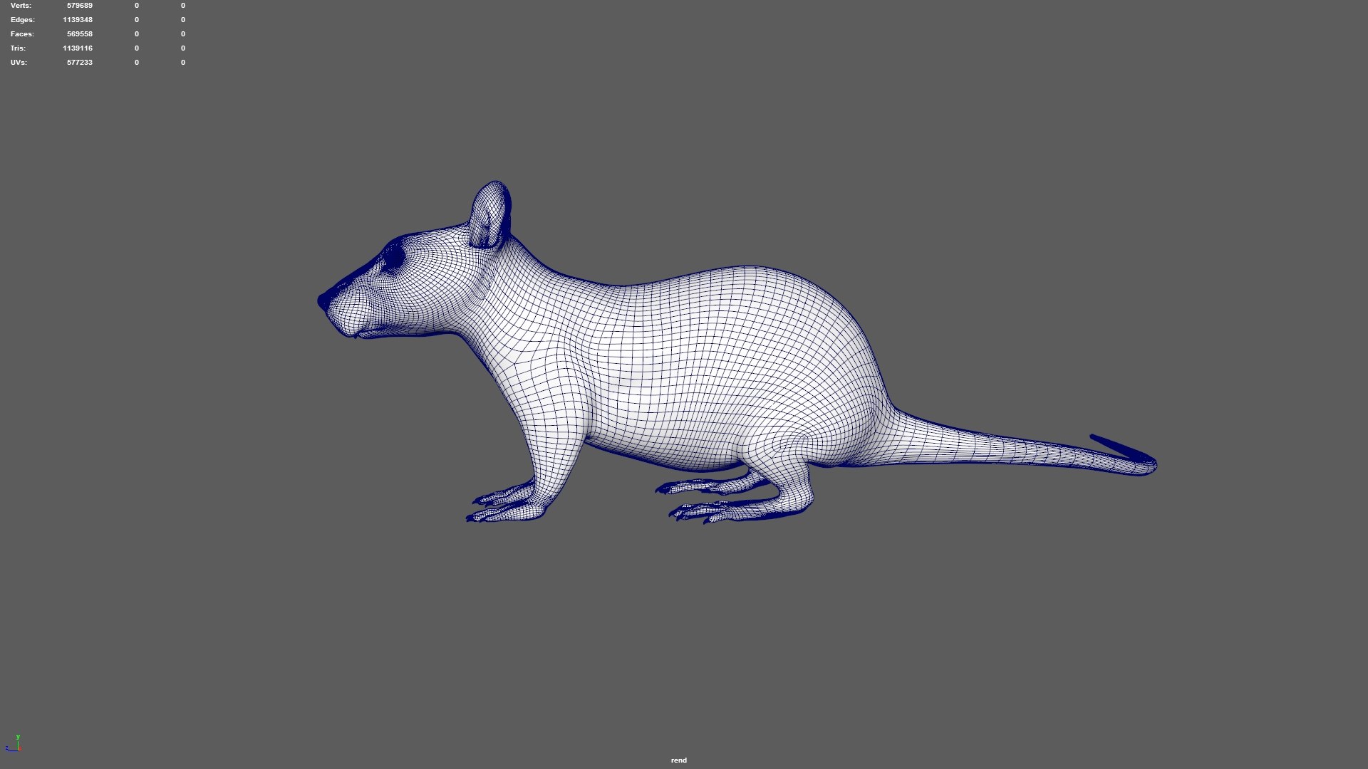 Rat Rig 3D Model - TurboSquid 1368181
