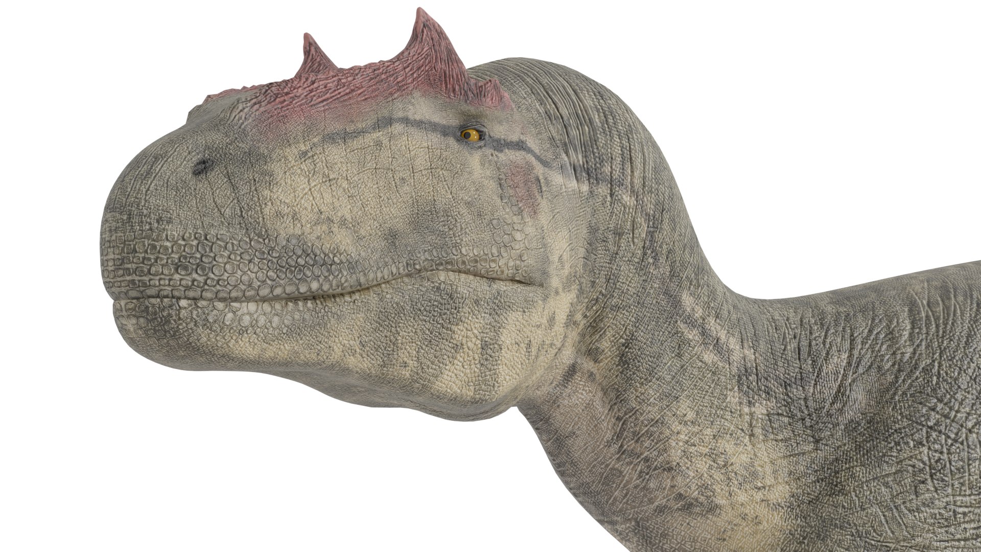 Allosaurus dinosaur 3d rig blender 3D model - TurboSquid 1973721