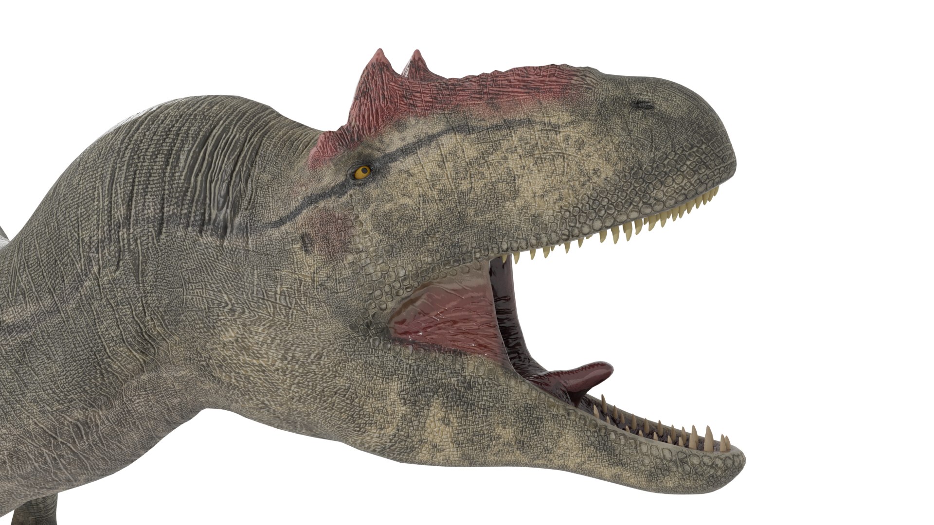 Allosaurus dinosaur 3d rig blender 3D model - TurboSquid 1973721