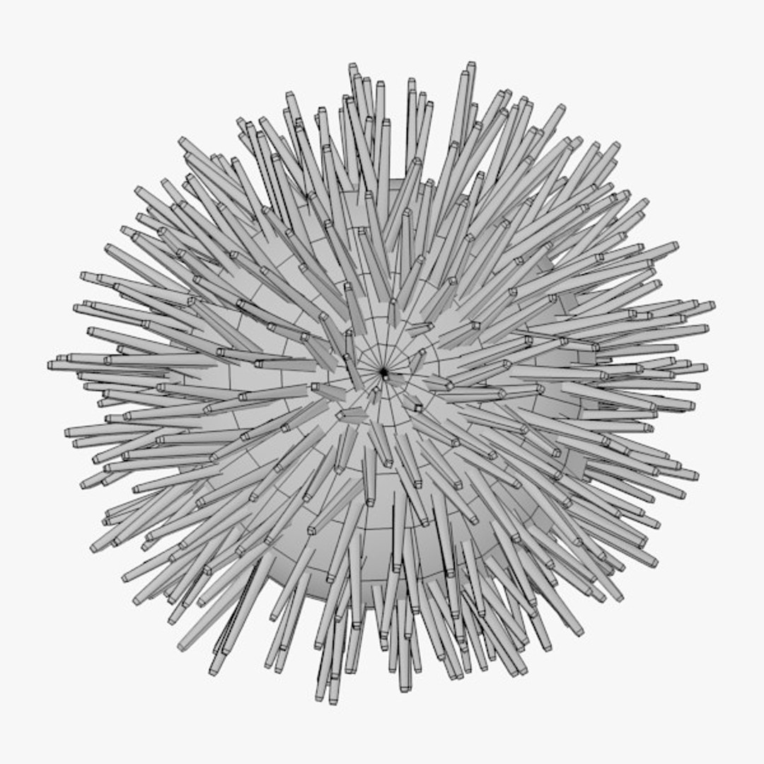 sea urchin 3d obj