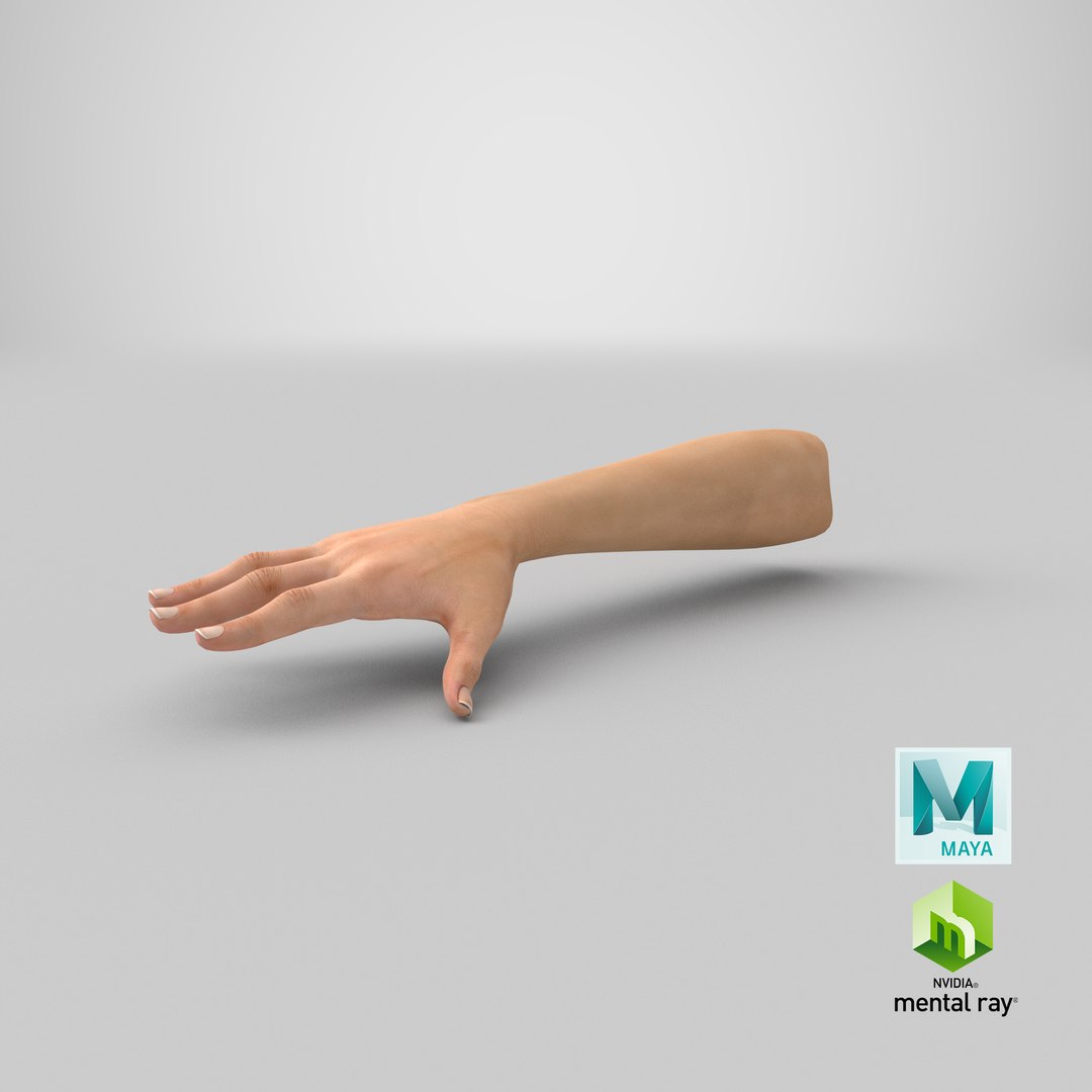 Australoid Female Hand 3D Model - TurboSquid 1394001