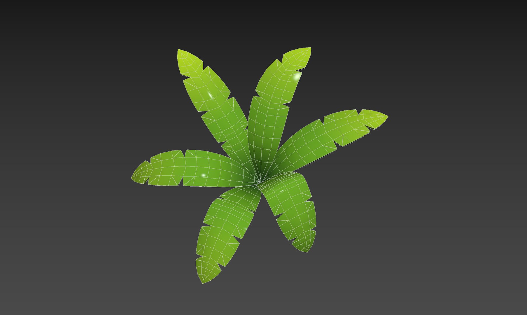 Low Poly Fern 001 3D Model - TurboSquid 1851070