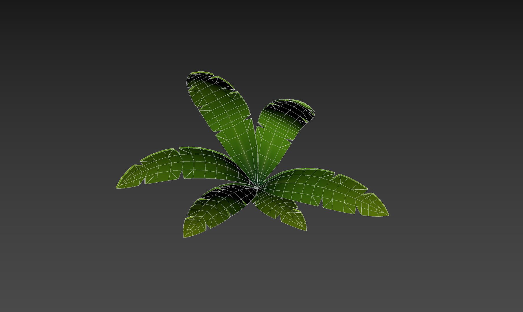 Low Poly Fern 001 3D Model - TurboSquid 1851070